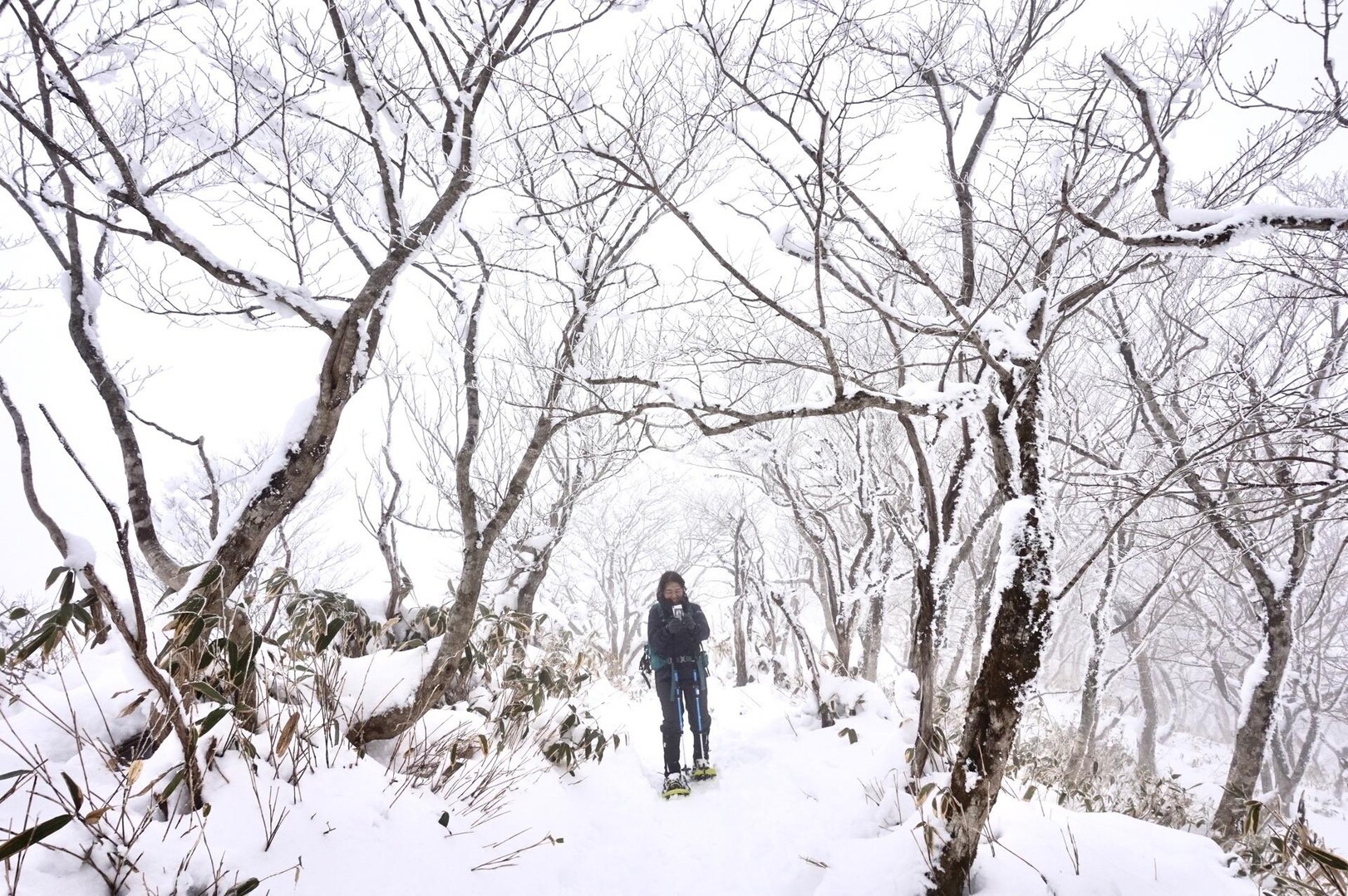 はじめての本格的な雪山といちご🍓大福⛄️那岐山 / nyaomaskさんの那岐山・滝山・広戸仙の活動データ | YAMAP / ヤマップ