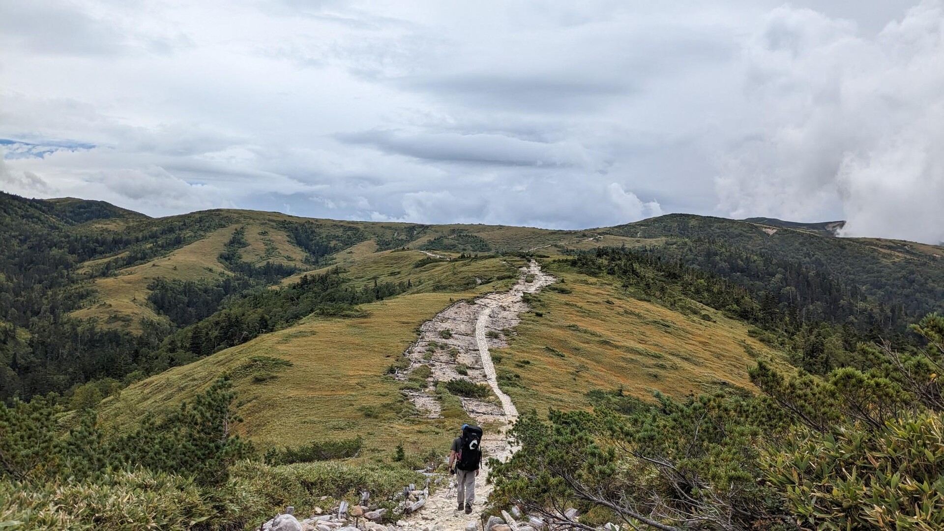 薬師沢より雲ノ平・高天原・水晶岳〜三俣蓮華岳・黒部五郎岳 / yuiさんの槍ヶ岳・穂高岳・上高地の活動データ | YAMAP / ヤマップ