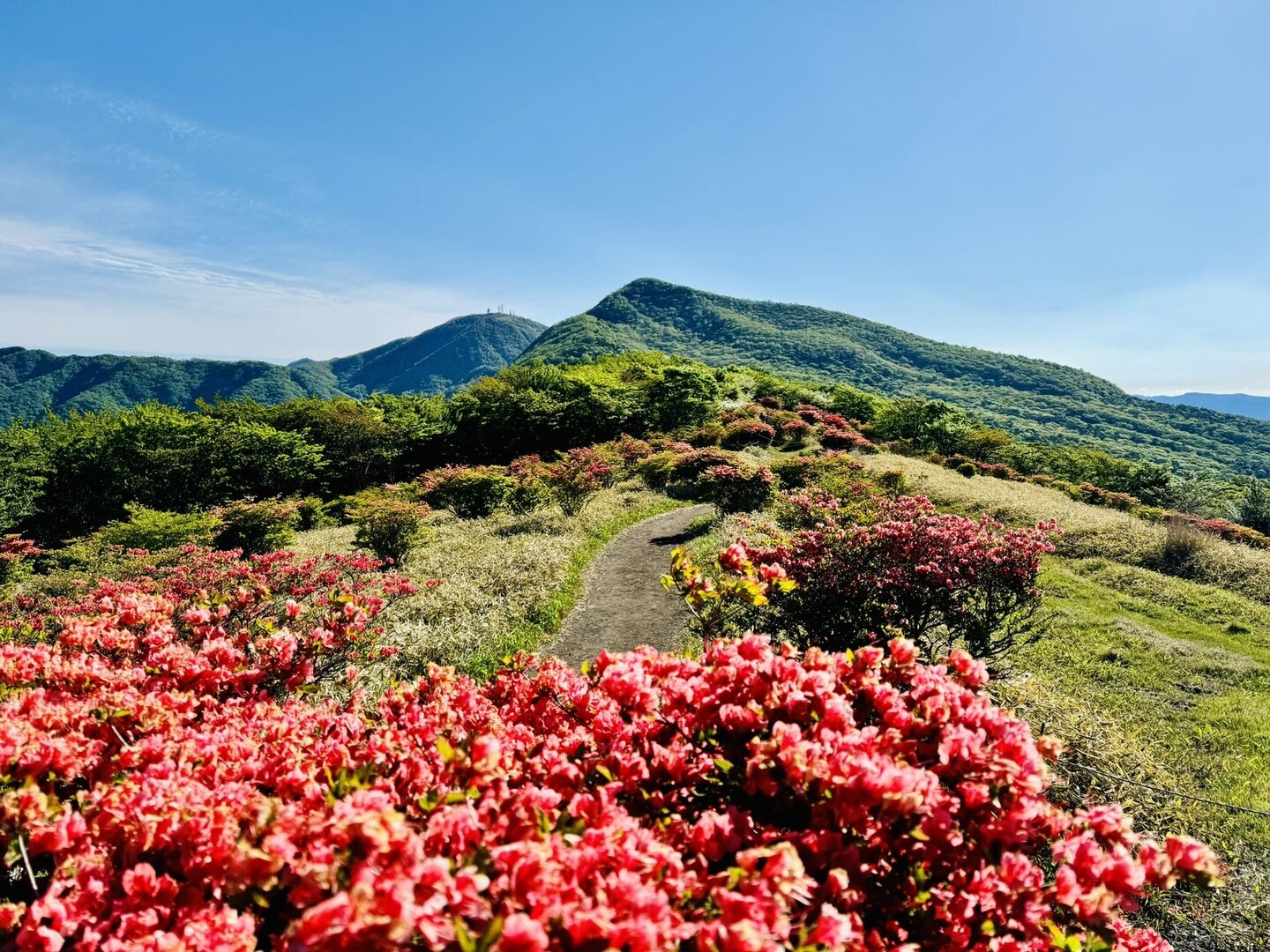 鍋割山 / さいかず2002さんの赤城山・黒檜山・荒山の活動データ | YAMAP / ヤマップ