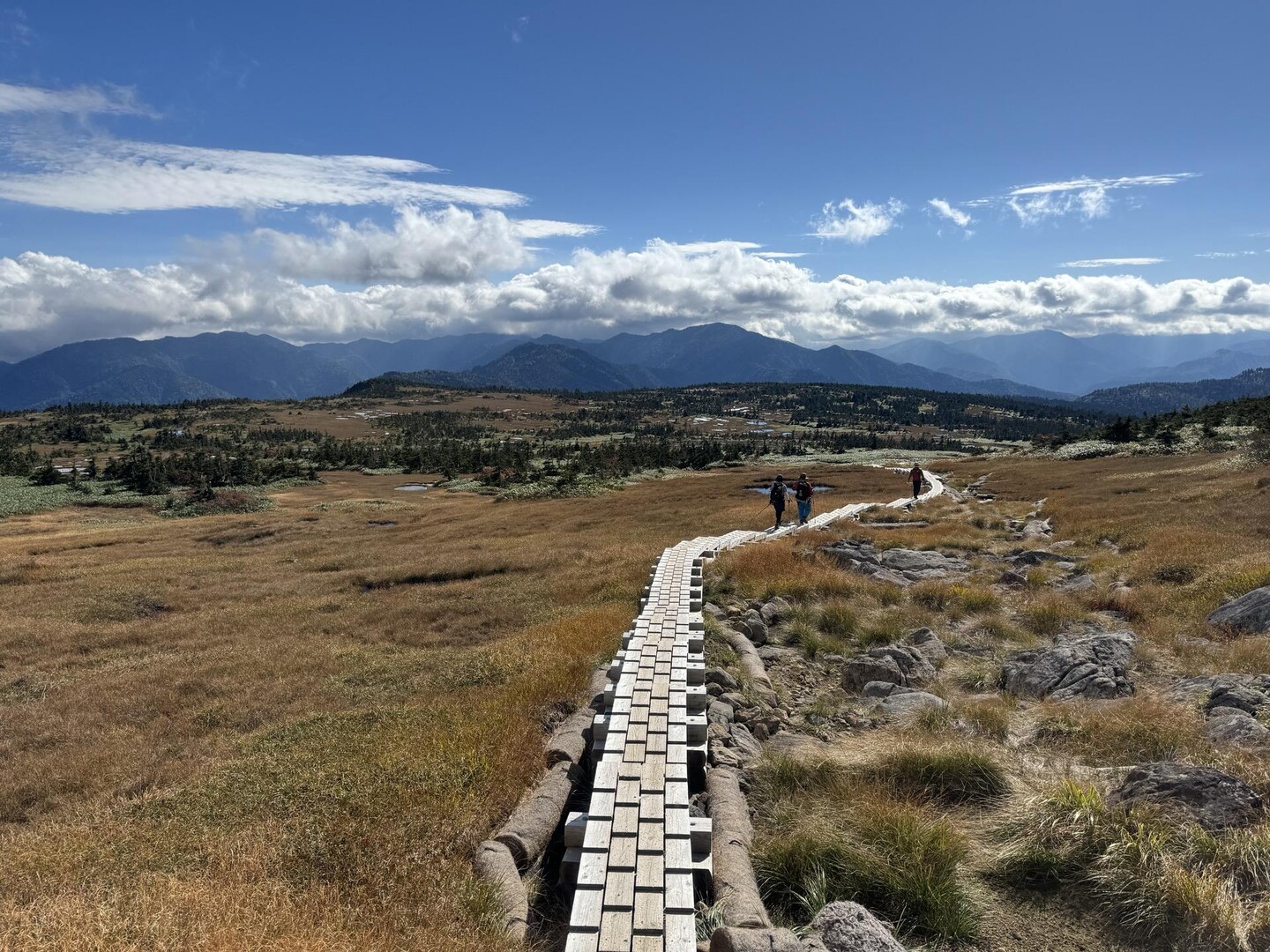 秋の苗場山も素敵です。 / shinさんの苗場山・赤倉山・佐武流山の活動データ | YAMAP / ヤマップ