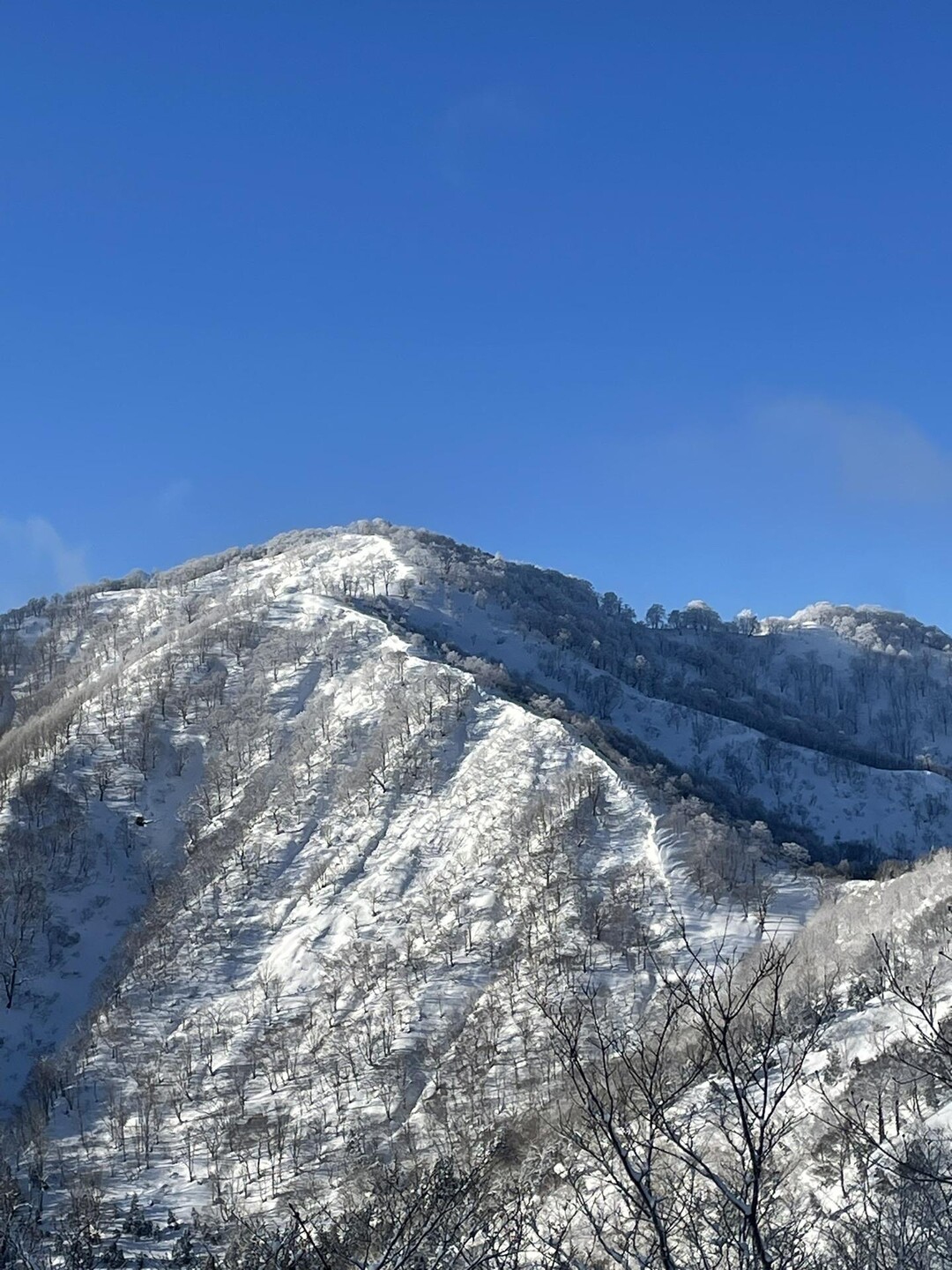 毘沙門岳 / motovskyさんの大日ヶ岳・毘沙門岳の活動データ | YAMAP / ヤマップ