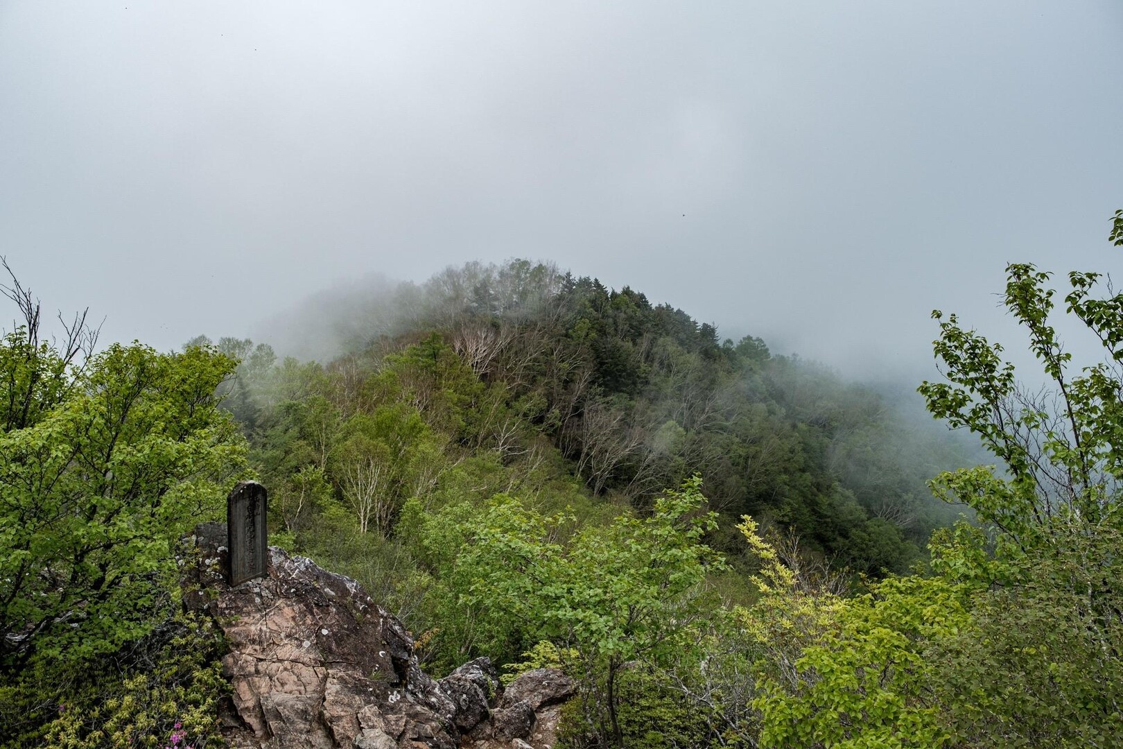 両神山 / Endo Shinyaさんの両神山・諏訪山・二子山の活動データ | YAMAP / ヤマップ