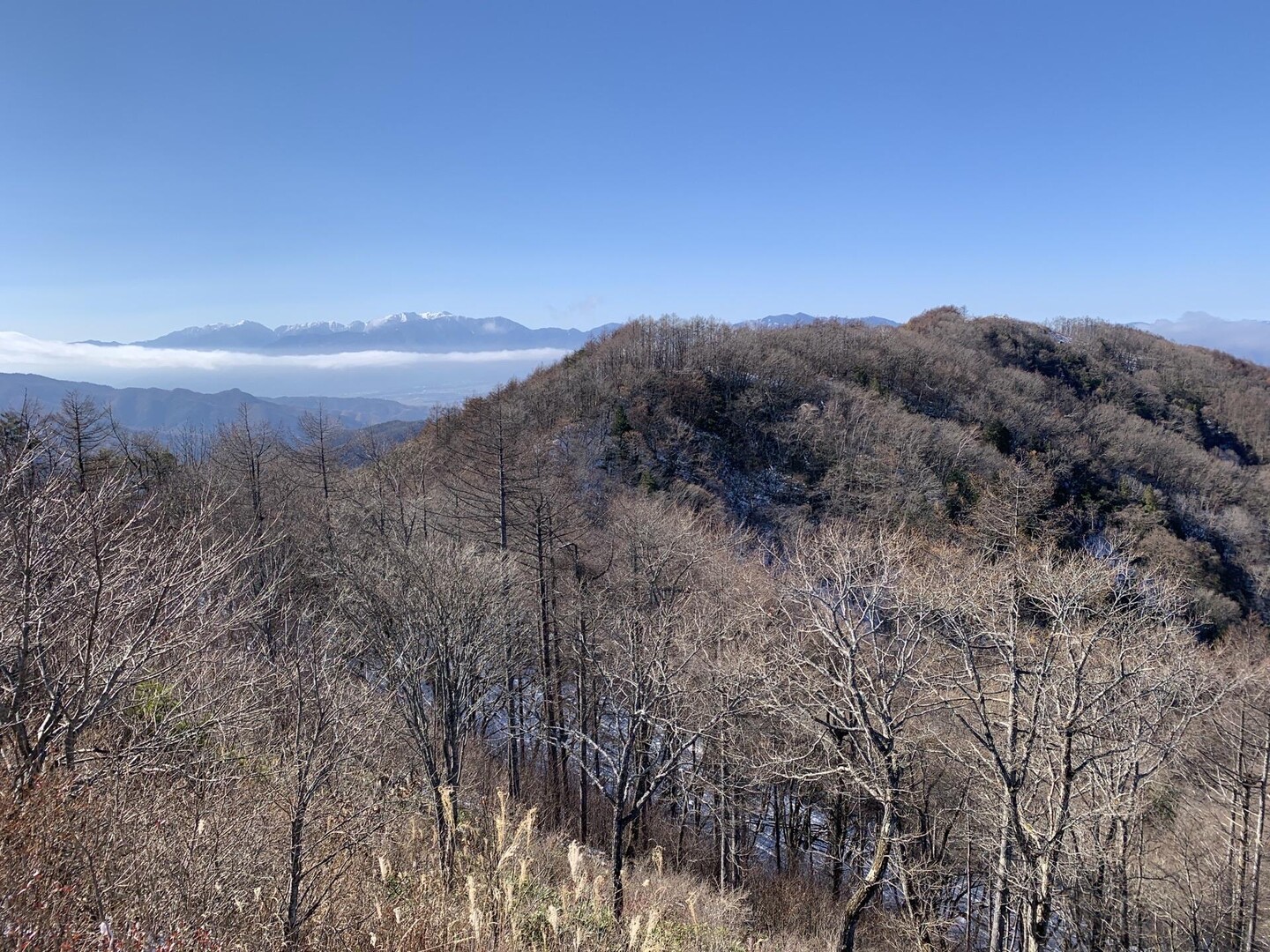 山友さんと守屋山⛩登り守屋神社表参道、下り片倉口 / jucca🍎さんの守屋山の活動データ | YAMAP / ヤマップ