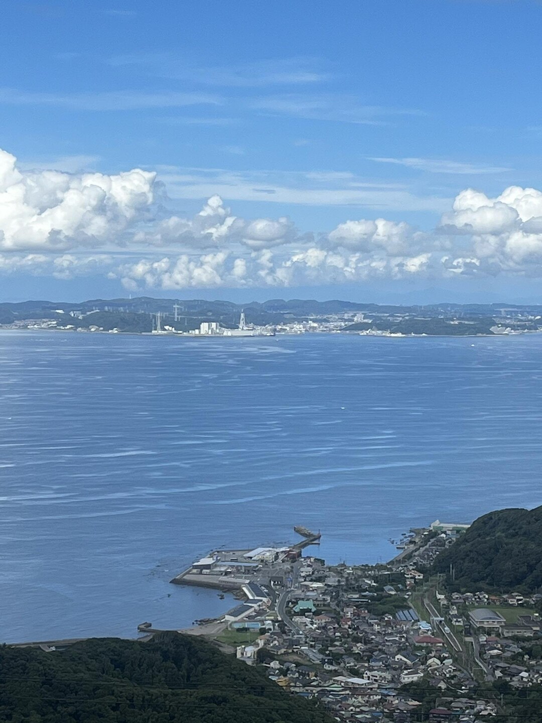 【鋸山トレイル】(ほぼハイキング) / Ryo Konoさんの鋸山の活動データ | YAMAP / ヤマップ