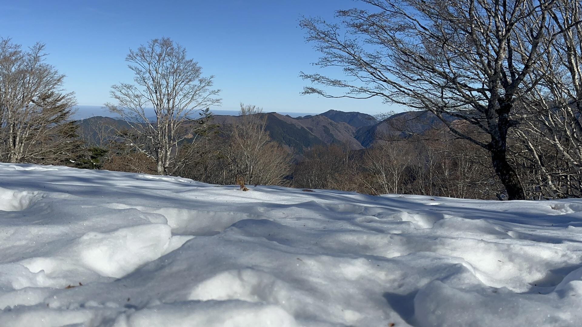 天女の頂 / ZiMAさんの八経ヶ岳の活動データ | YAMAP / ヤマップ
