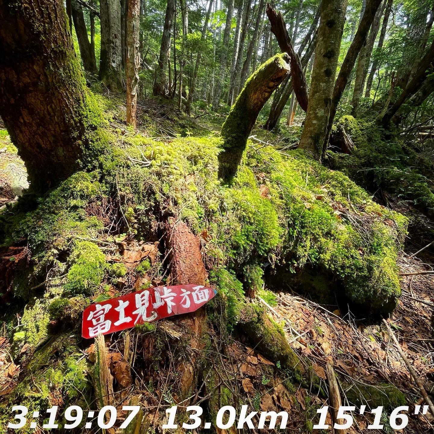 Nikko Mountain Running Trial Run & Route Maintenance🪚 / よごっちさんの女峰山・赤薙山・大真名子山の活動日記 | YAMAP / ヤマップ