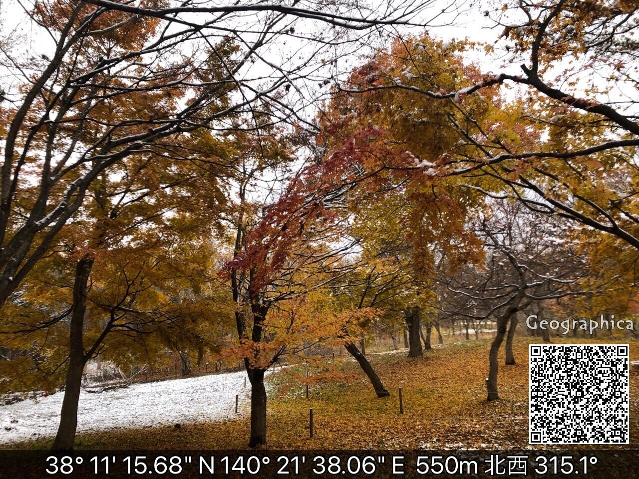 2023.11.25 野草園〜ジオ講習会... / みぃーさんのモーメント | YAMAP / ヤマップ