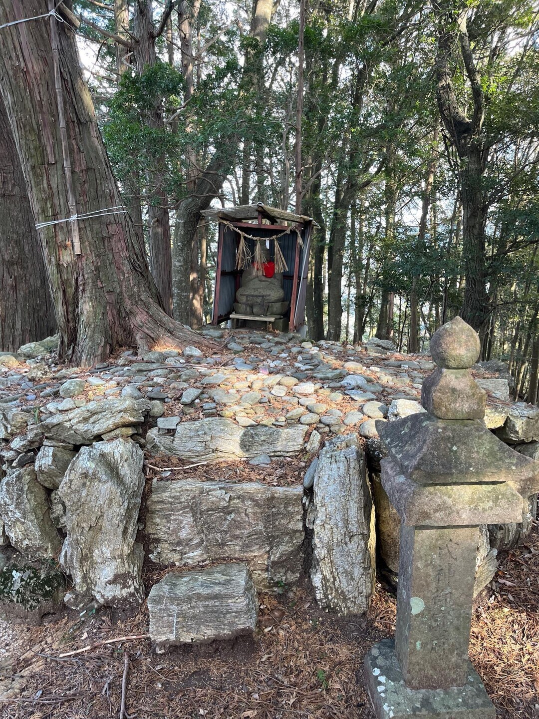 大紀町 野原（のわら）浅間山 / TRA01さんの水神山の活動データ | YAMAP / ヤマップ