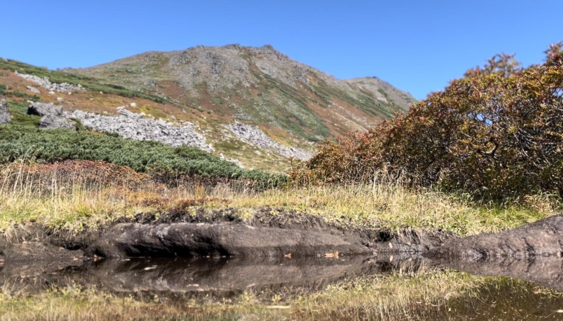 トムラウシ山 / しゅんすけさんのGT3 2の活動データ | YAMAP / ヤマップ