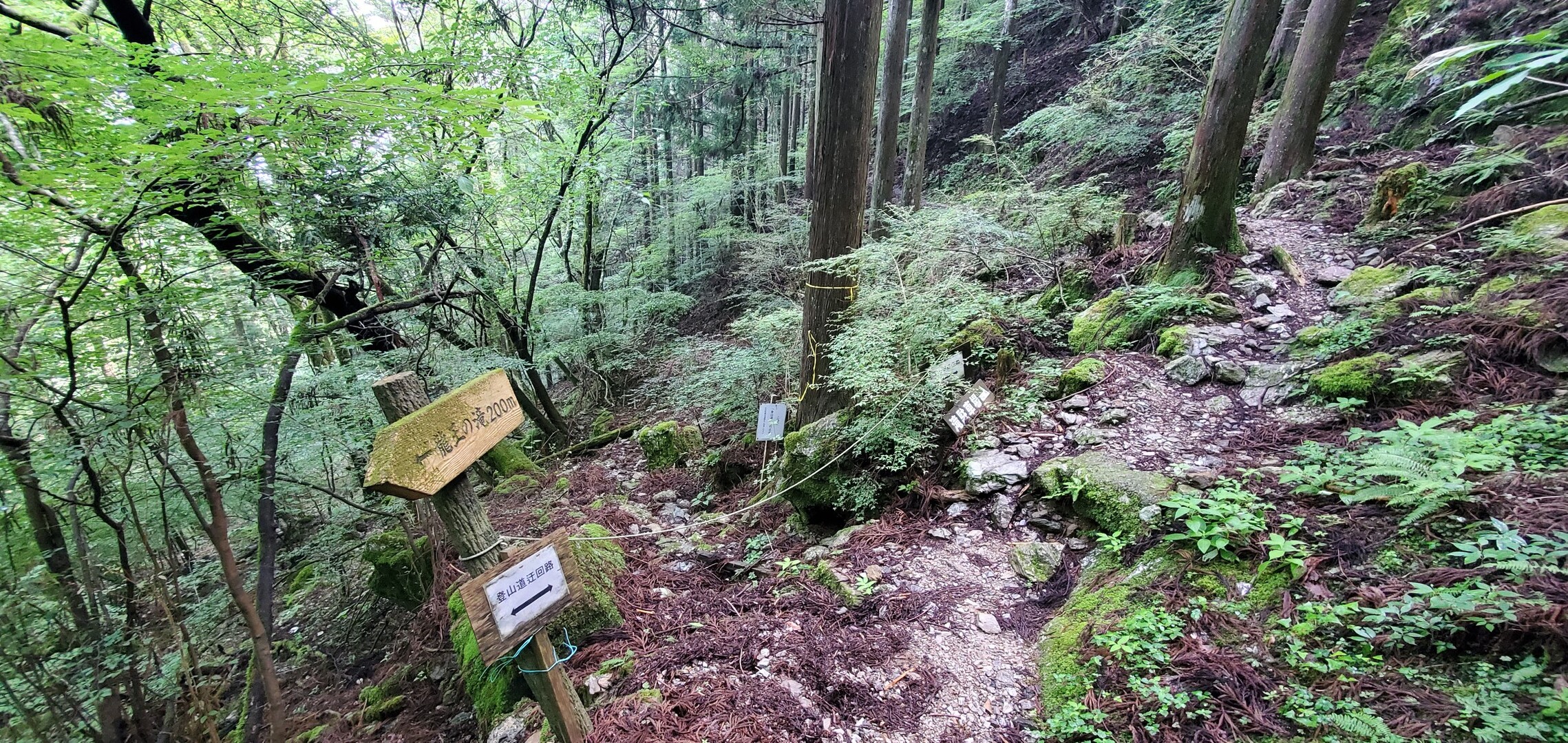 shimaさんの投稿したフィールドメモ | YAMAP / ヤマップ