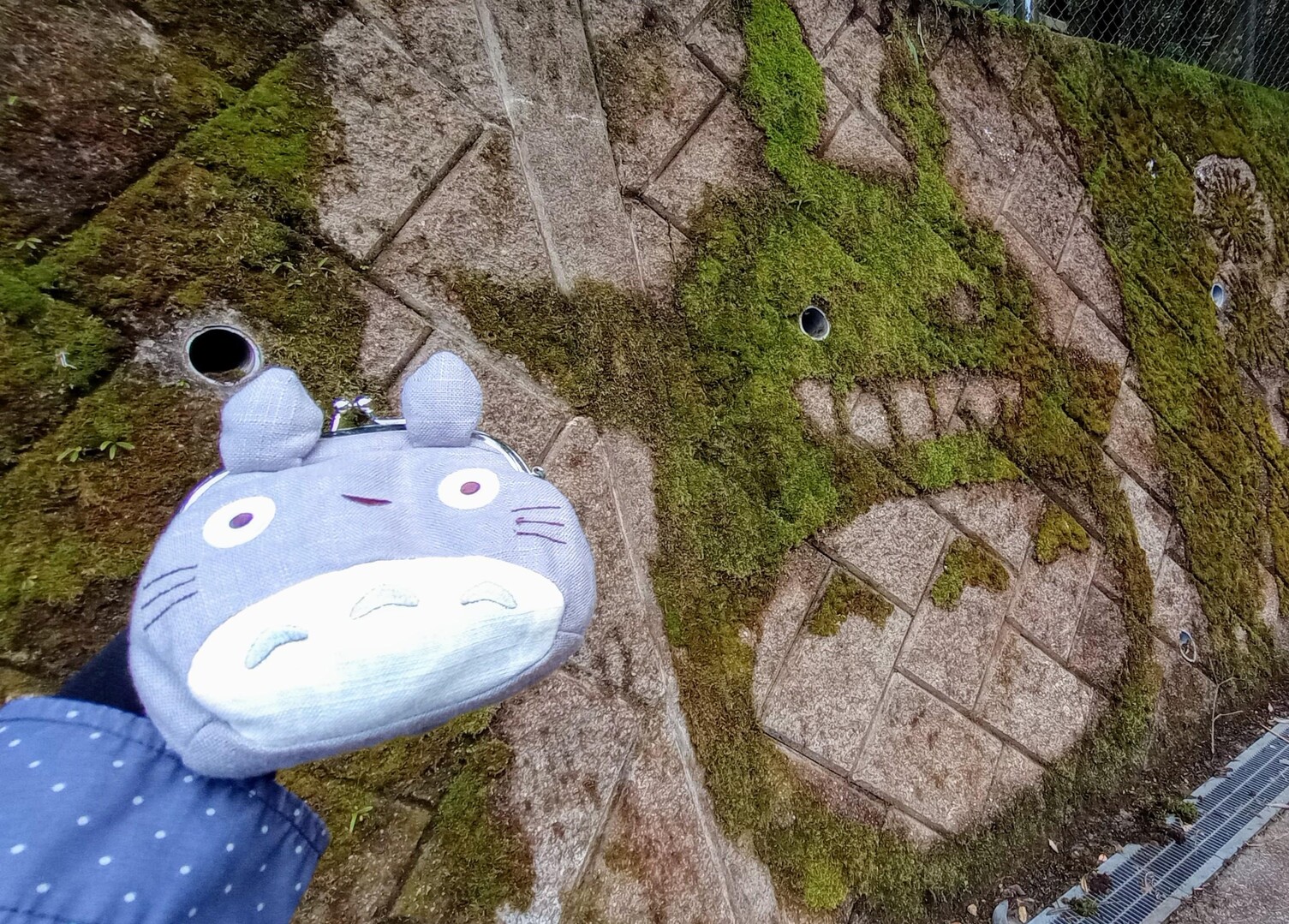 初級 いこ 2 ⁉️⁉️⁉️ / emiyさんの生駒山・神津嶽・大原山の活動データ | YAMAP / ヤマップ