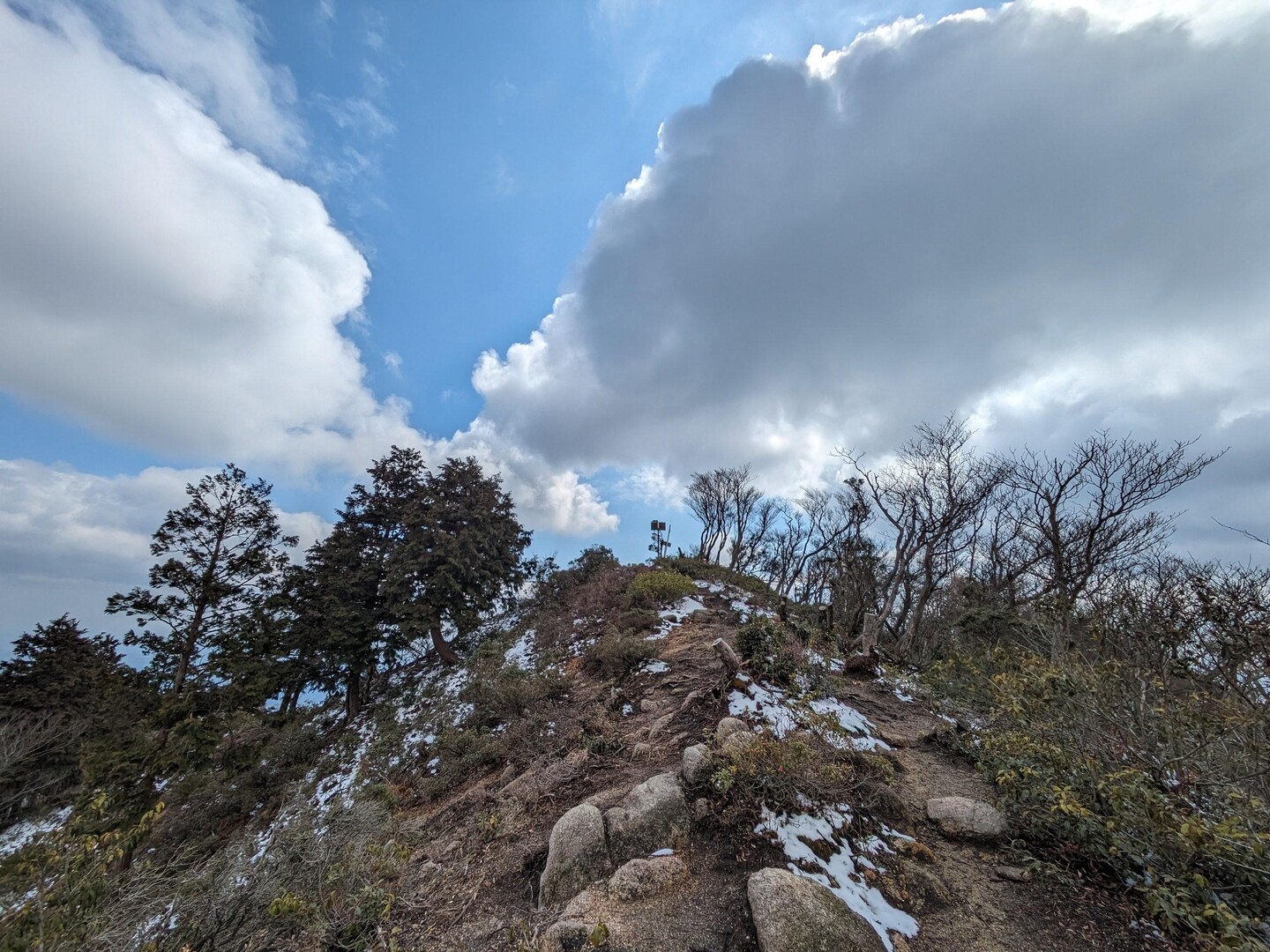仙ヶ岳 宮指路岳 / TJさんの入道ヶ岳・鎌ヶ岳・仙ヶ岳の活動データ | YAMAP / ヤマップ