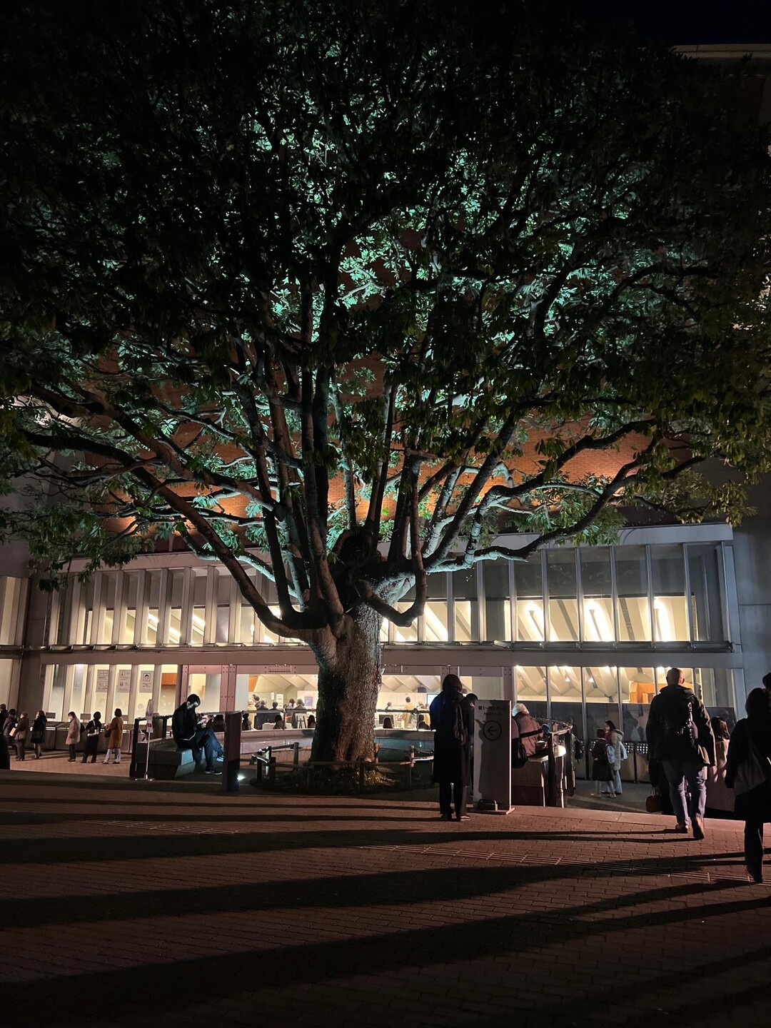 芸大メサイア-2023-12-22 / Nic_kgさんのウォーキングの活動データ | YAMAP / ヤマップ