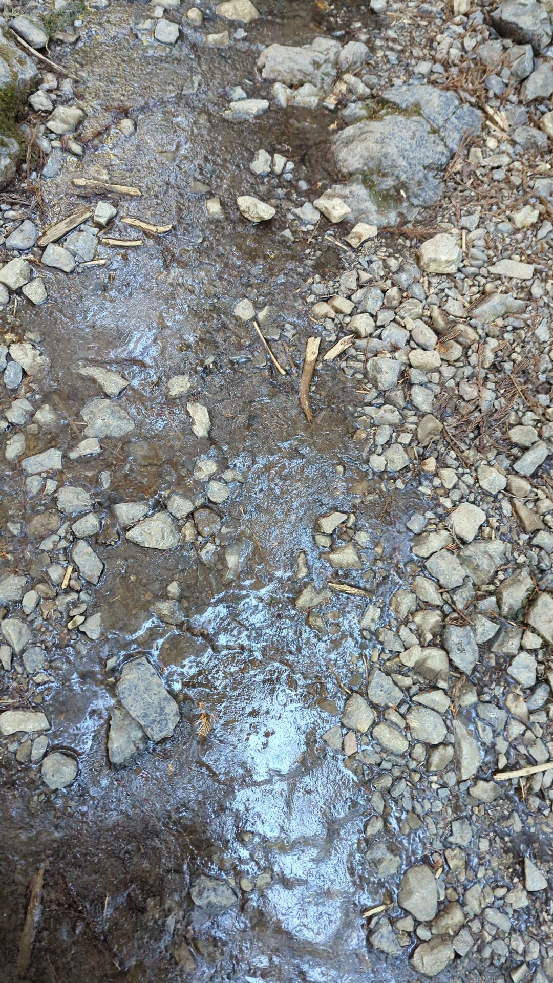 pitoring_さんの投稿したフィールドメモ | YAMAP / ヤマップ