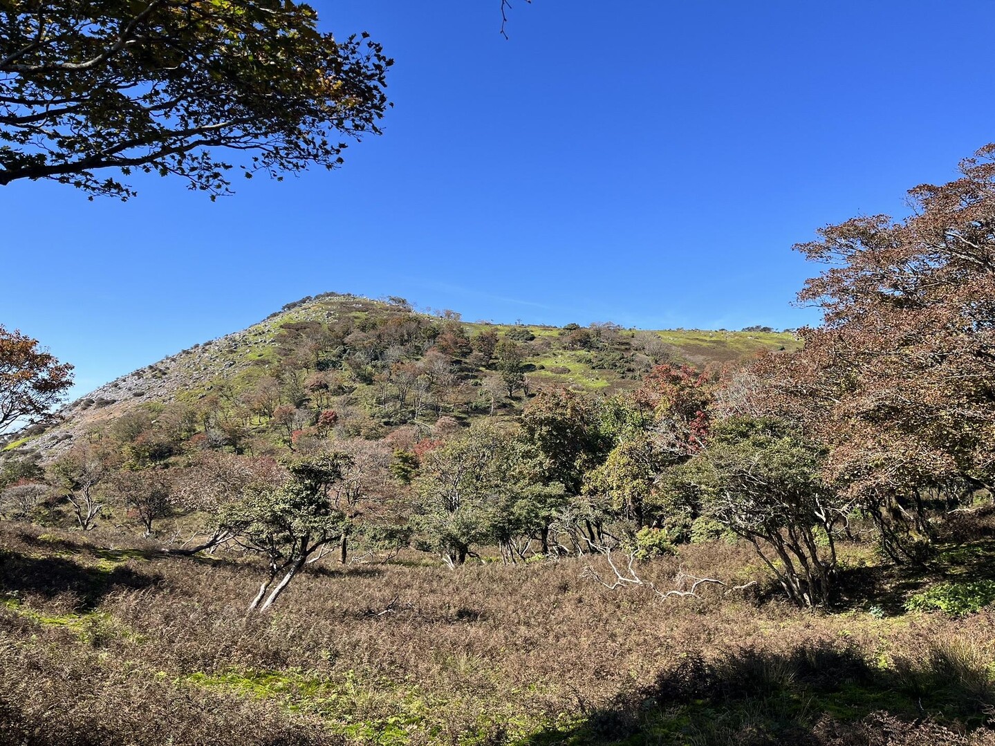藤原岳トレラン / Rayさんの藤原岳・御池岳の活動データ | YAMAP / ヤマップ