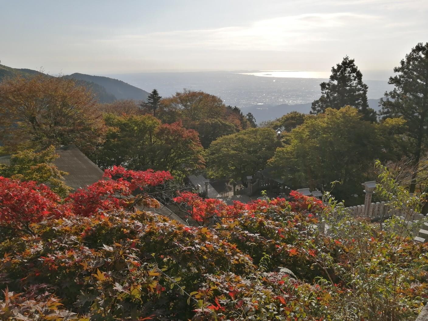 晴れてるのに～🤣大山 / ellena15さんの大山の活動日記 | YAMAP / ヤマップ