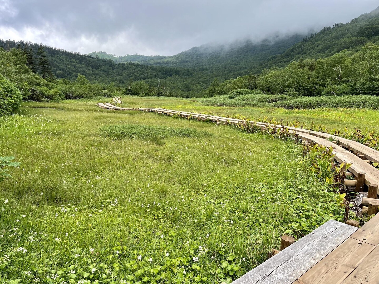 栂池自然園でゆったり。 / Kayoさんの白馬岳・小蓮華山の活動データ | YAMAP / ヤマップ