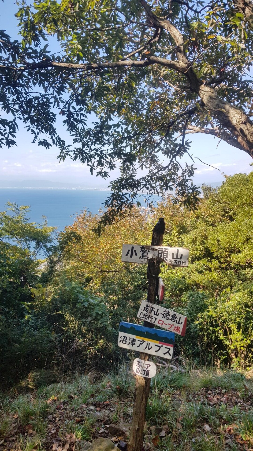 沼津アルプス-2022-11-05 / 沼津アルプス・鷲頭山・香貫山の写真10枚目 | YAMAP / ヤマップ