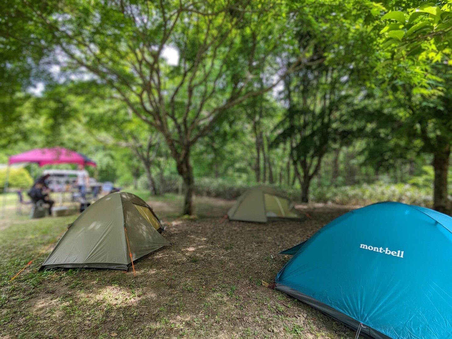 テント泊でBBQ接待＆サラサドウダン観賞 恐羅漢山・旧羅漢山 / meru2209さんの恐羅漢山の活動データ | YAMAP / ヤマップ