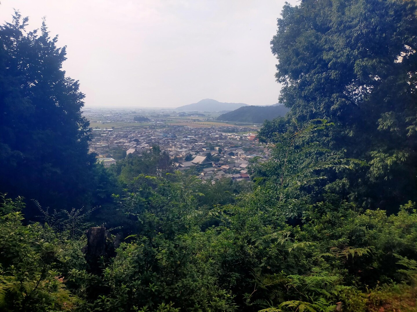 呉枯ノ峰 / bunpakuさんの呉枯ノ峰・田上山の活動データ | YAMAP / ヤマップ
