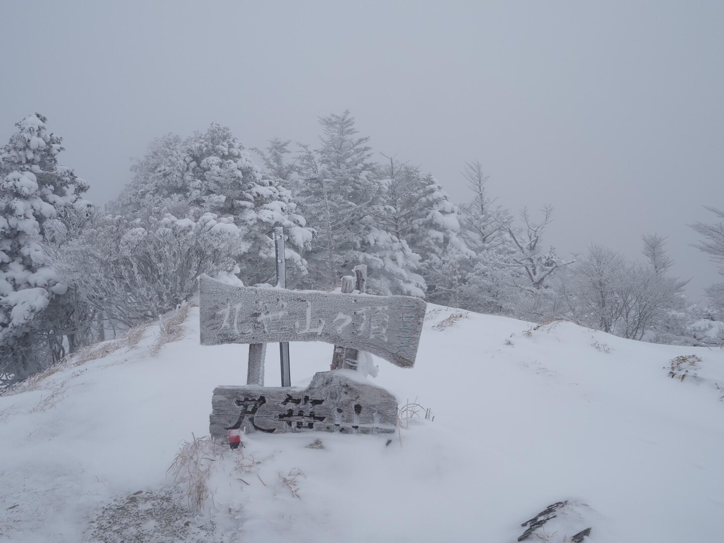 丸笹山 / h3さんの剣山の活動データ | YAMAP / ヤマップ