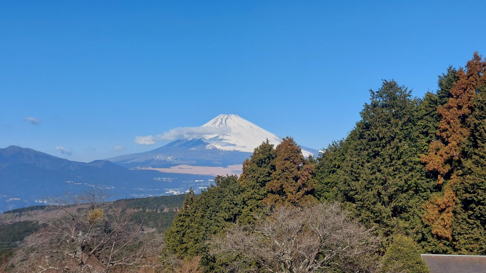 20250122 山中城跡 / sasaさんの東海道五十三次 (小田原宿・箱根宿・三島宿)の活動データ | YAMAP / ヤマップ