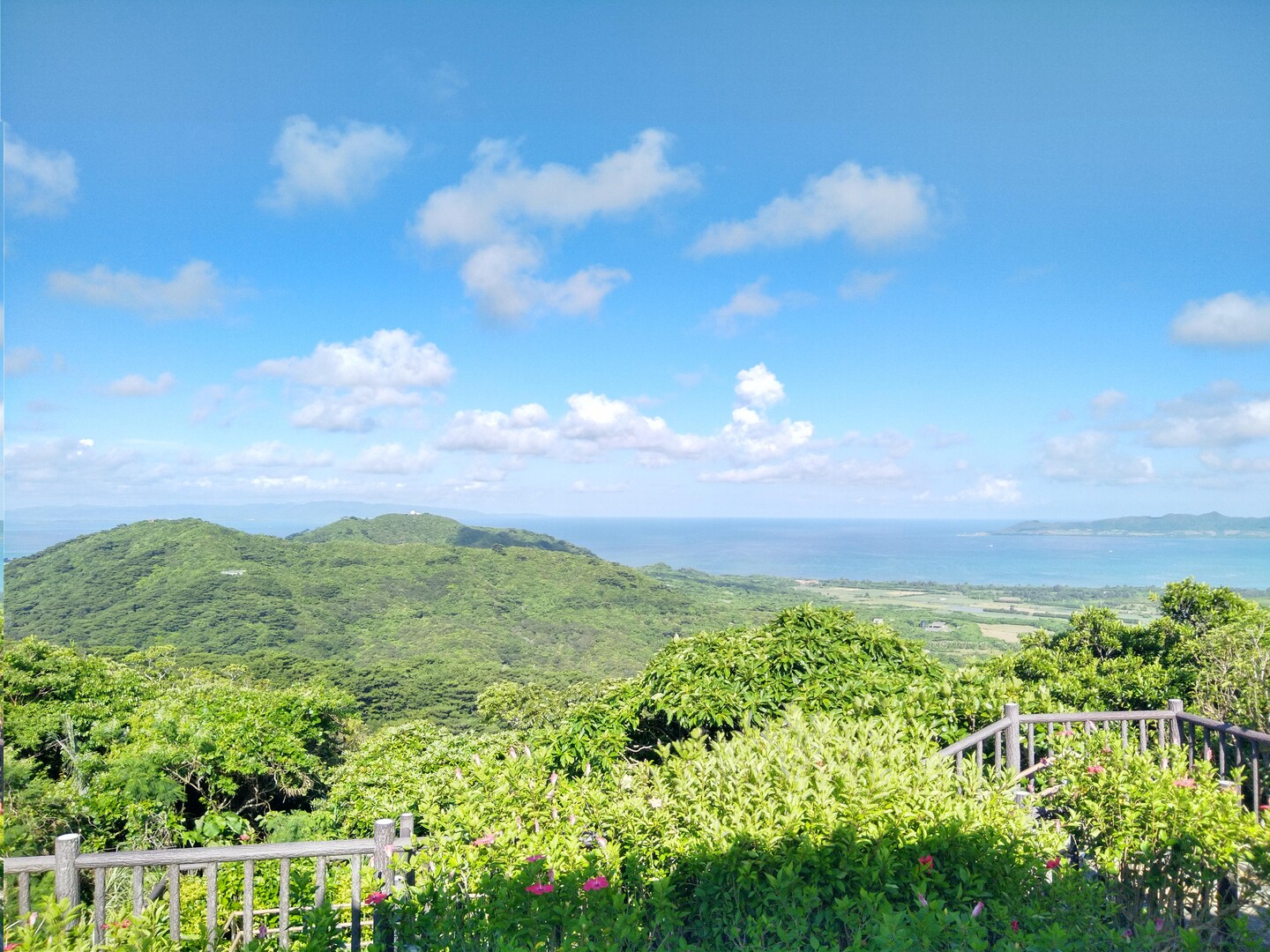 石垣島Part2【前勢岳】 / タッキーさんの石垣島 南部の活動データ | YAMAP / ヤマップ