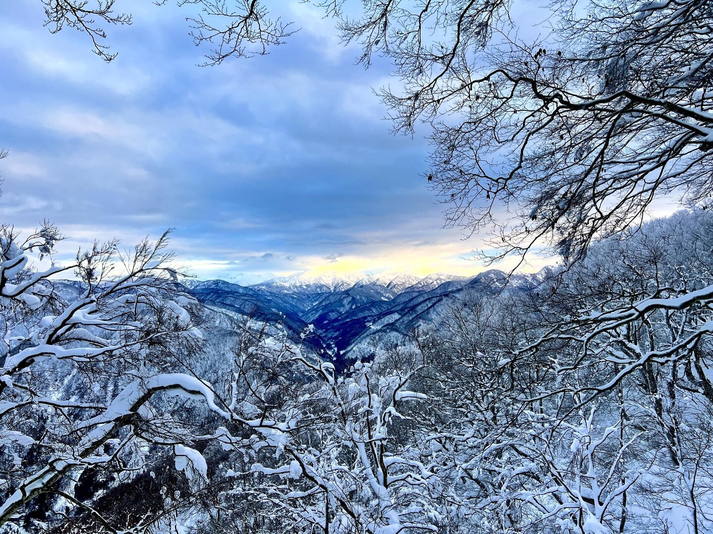 2022登り納め🏔ﾎﾜｲﾄｱｳﾄ荒島岳 / TADY.さんの荒島岳の活動データ | YAMAP / ヤマップ