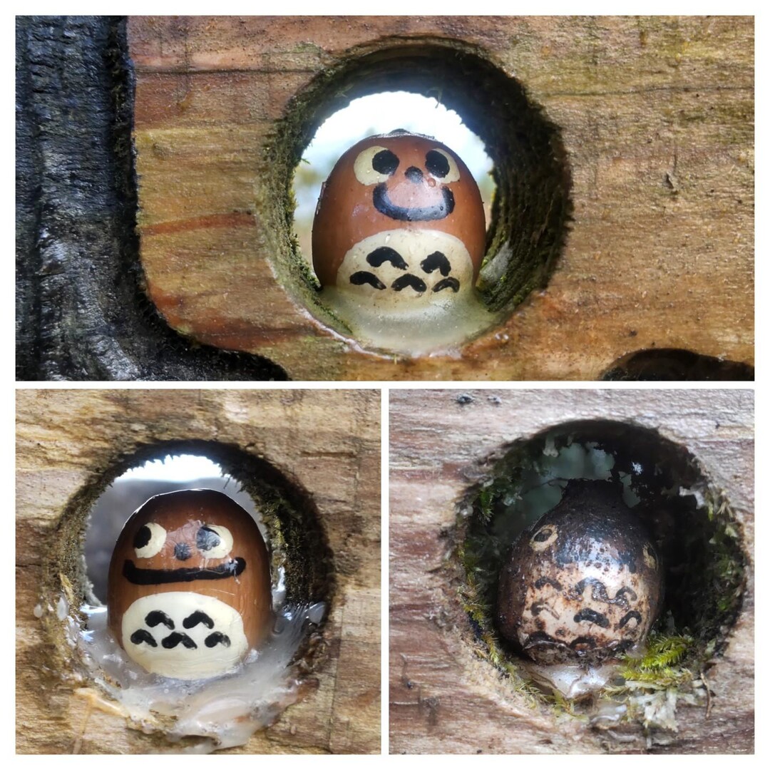 嘉穂アルプス⛰️ / とめさんの古処山・屏山・馬見山・江川岳の活動データ | YAMAP / ヤマップ