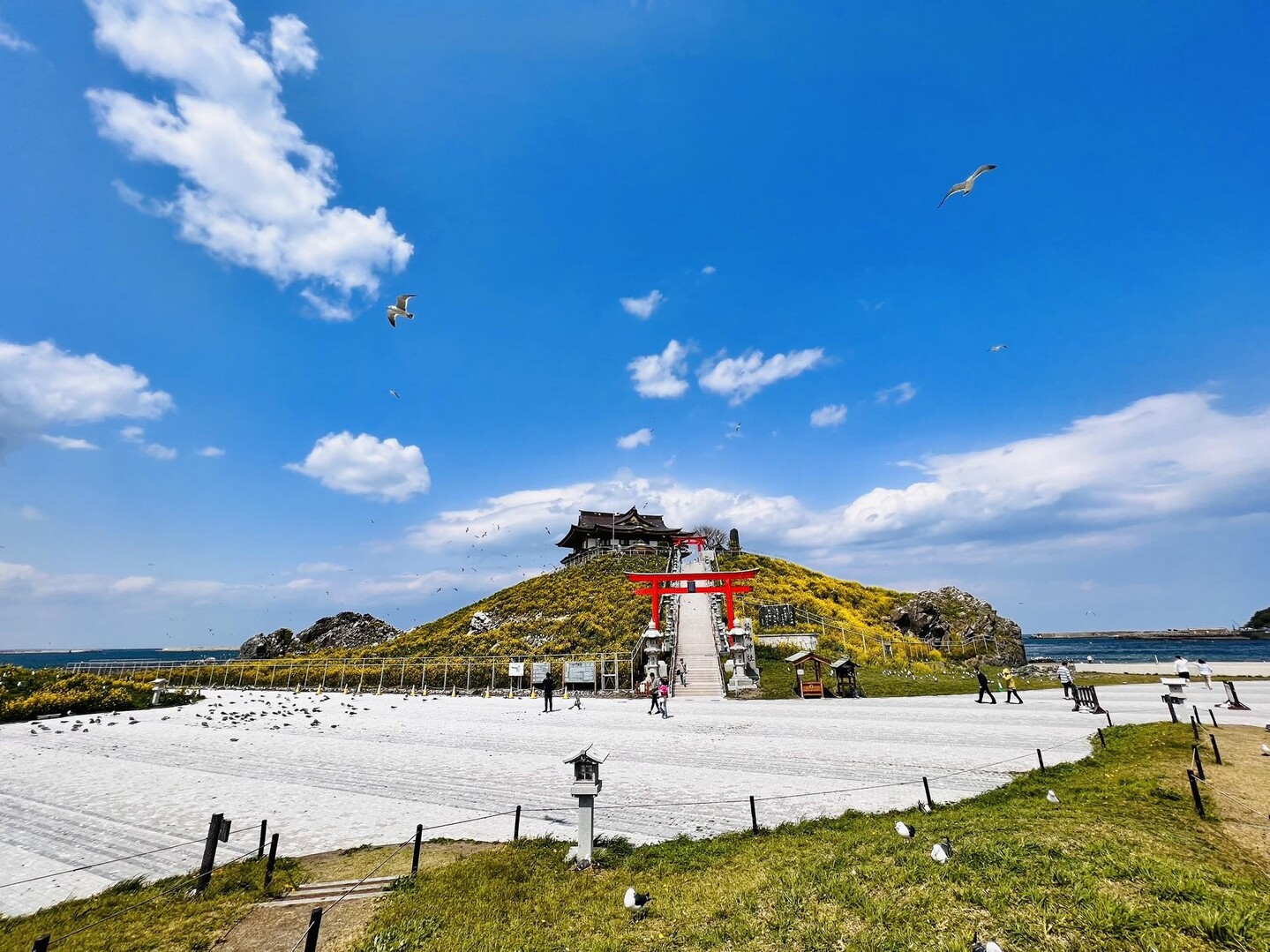 みちのく潮風トレイル Day 1 鮫駅〜種差海岸 / ZUNさんのみちのく潮風トレイル 八戸市ルートの活動データ | YAMAP / ヤマップ