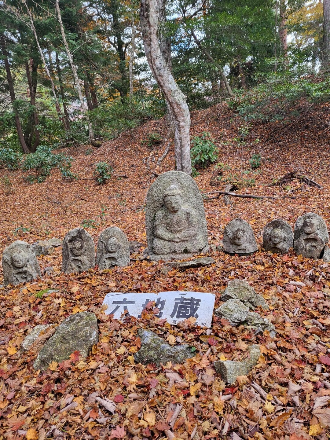 己高山 / montanaさんの己高山の活動データ | YAMAP / ヤマップ