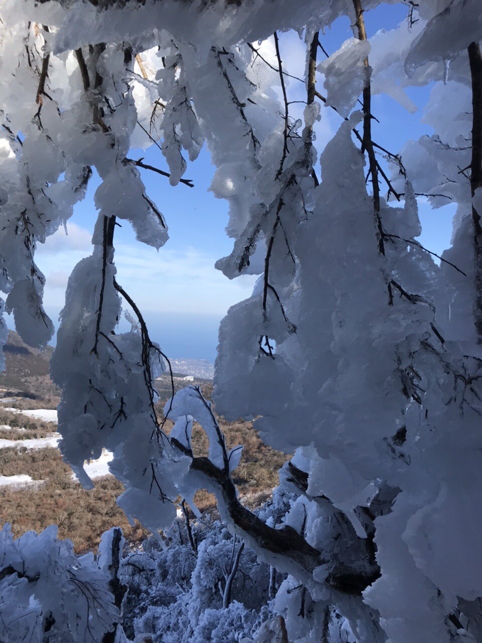 2021.1.25 天城 万二郎 万... / Kさんのモーメント | YAMAP / ヤマップ