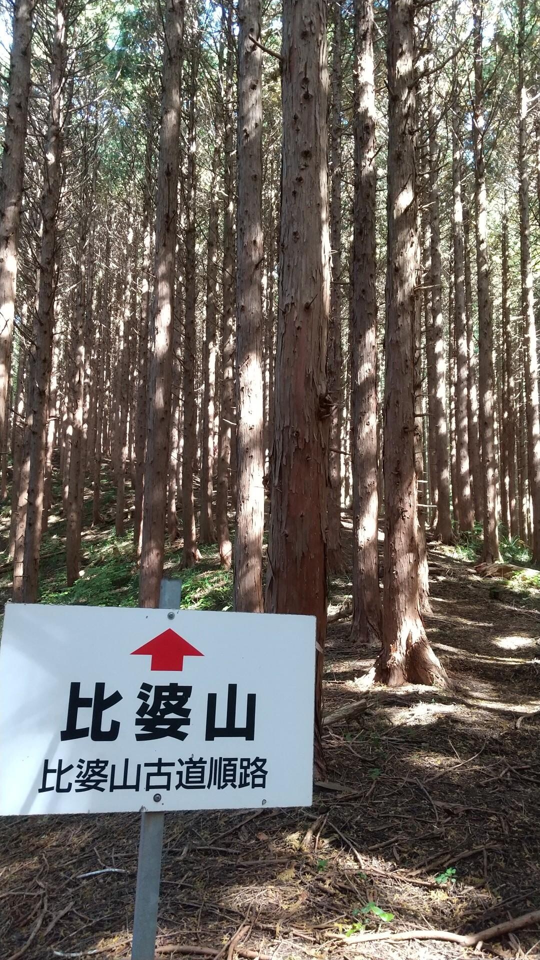 烏帽子山・比婆山・池ノ段・立烏帽子山・吾妻山 / potchyさんの比婆山・立烏帽子山・吾妻山の活動データ | YAMAP / ヤマップ