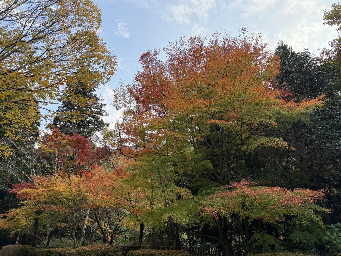 Two hours limit ️ママアリマ / ハチさんの六甲山・長峰山・摩耶山の活動データ | YAMAP / ヤマップ