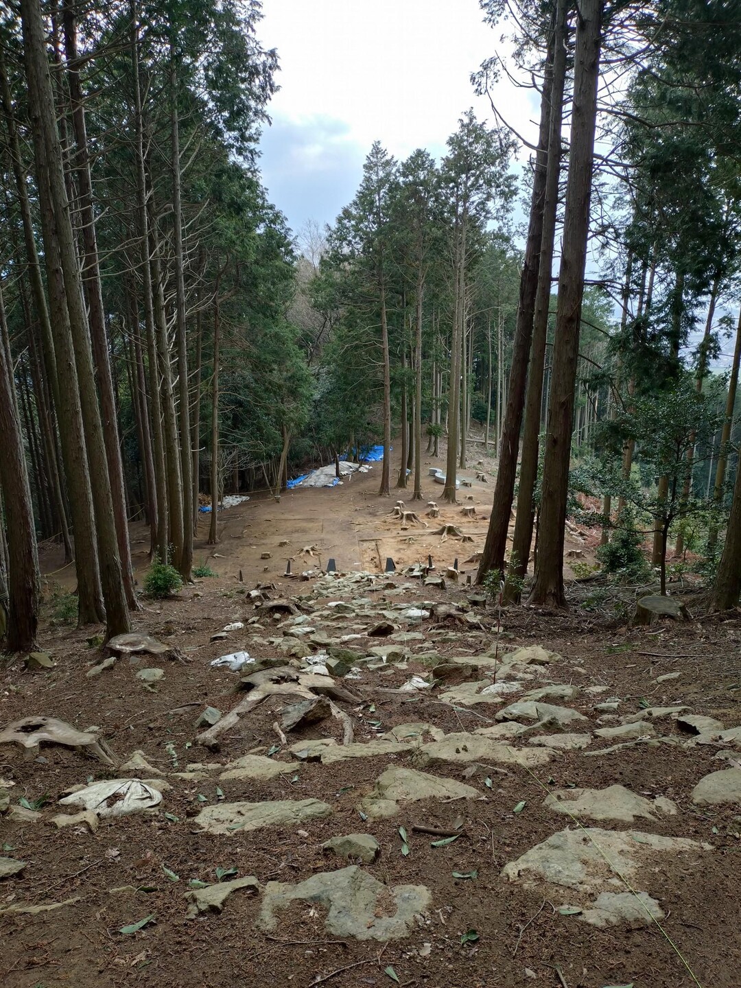 首羅山、白山、桜山-2024-03-03 / ウォーキングの写真6枚目 | YAMAP / ヤマップ