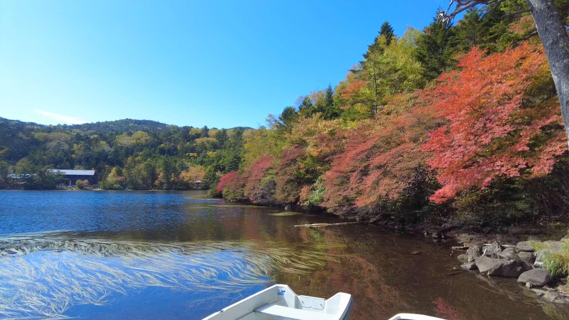 白駒池でテン泊したときの動画をYouTu... / ゆうゆうさんのモーメント | YAMAP / ヤマップ