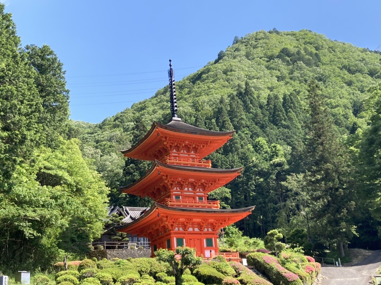 真木山 / masa599さんの妙見山の活動データ | YAMAP / ヤマップ