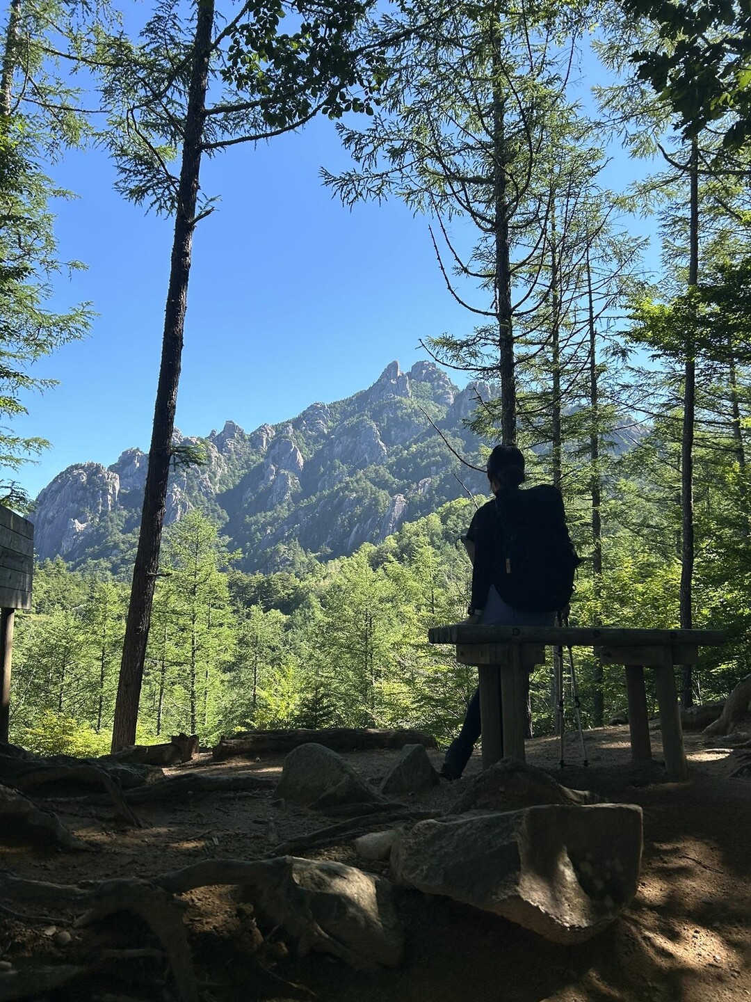 瑞牆山⛰️百名山15/100 / yukirin♡さんの瑞牆山・金峰山の活動データ | YAMAP / ヤマップ