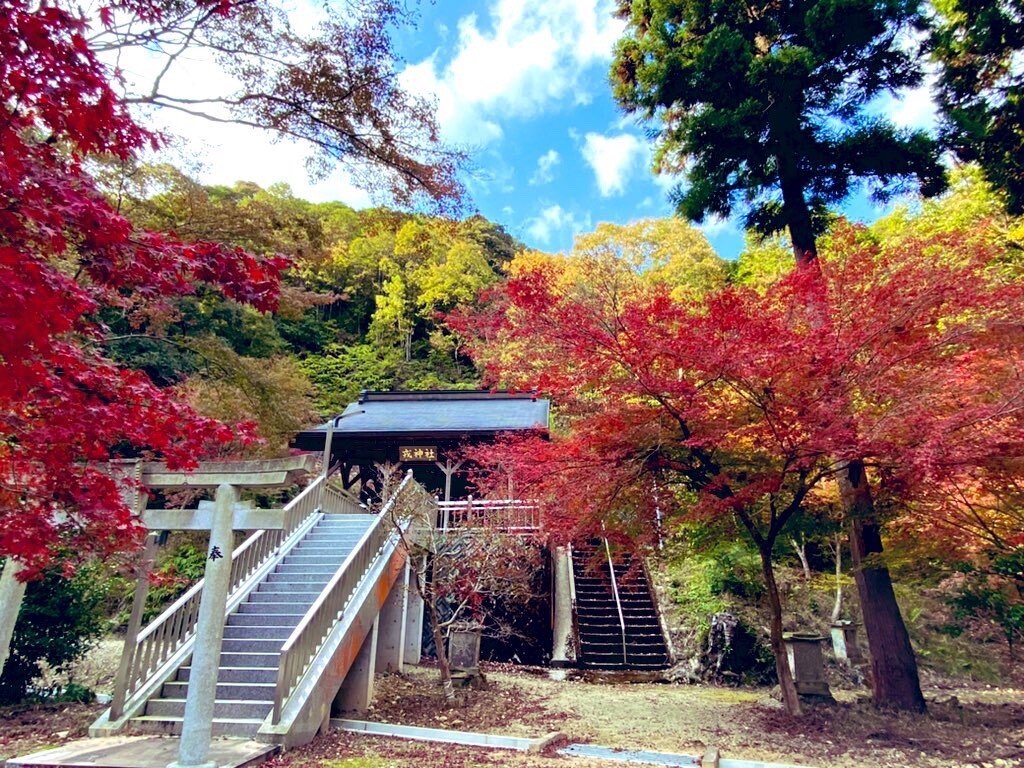 柄にも似合わず"紅葉🍁狩り"に来てみた... / yousan⛰さんのモーメント | YAMAP / ヤマップ