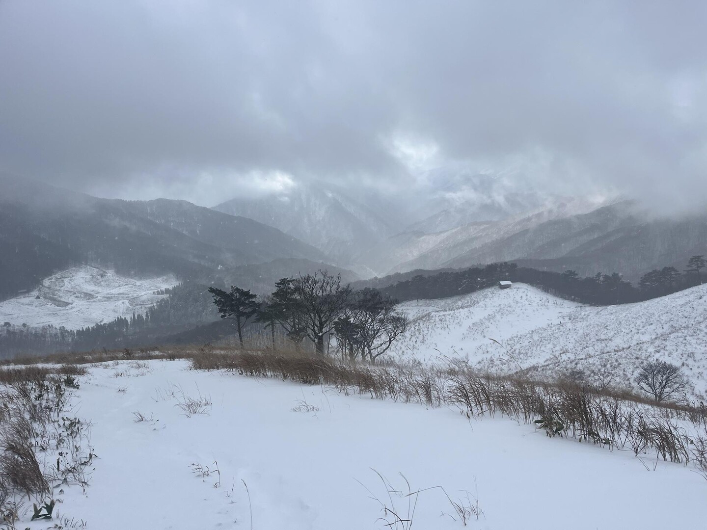 深入山 / kecoさんの深入山の活動データ | YAMAP / ヤマップ