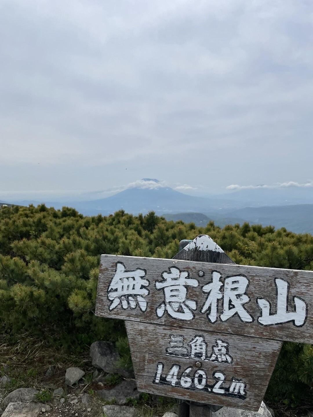無意根山 / yukkyさんの無意根山の活動データ | YAMAP / ヤマップ