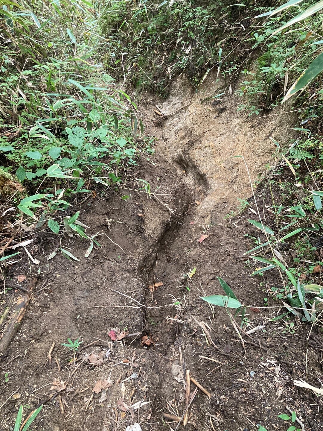 dokkunさんの投稿したフィールドメモ | YAMAP / ヤマップ