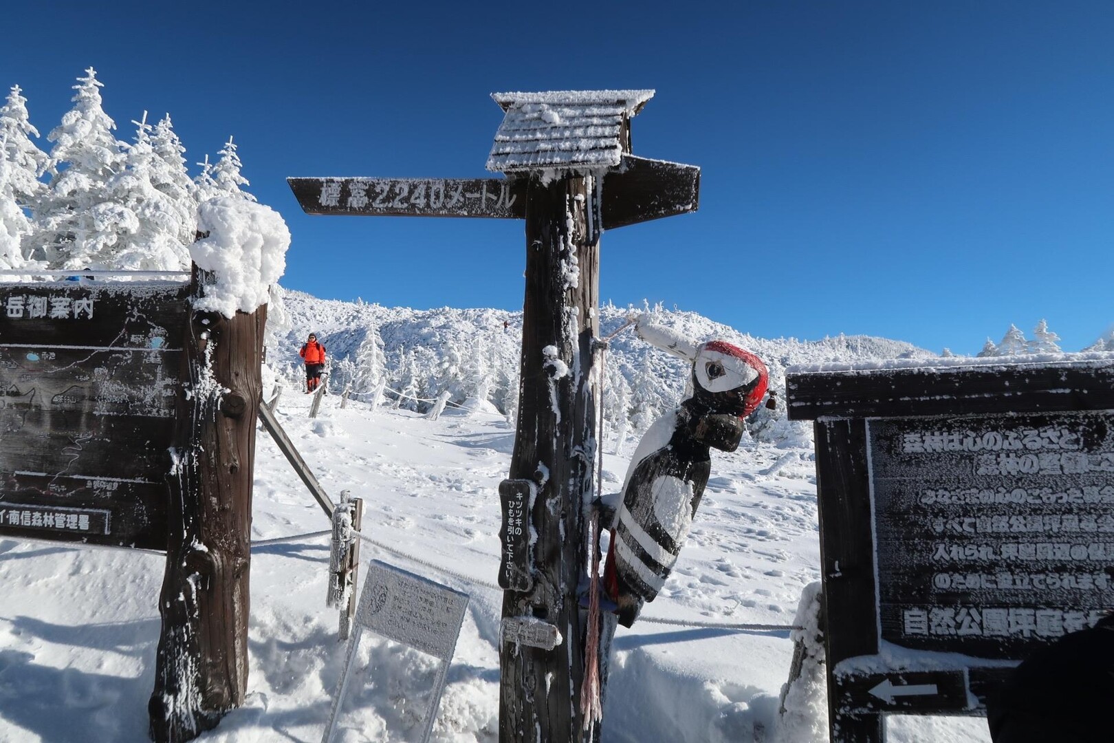 天空の雪庭散歩⛄️ / KJR-Rさんの蓼科山・横岳・縞枯山の活動データ | YAMAP / ヤマップ