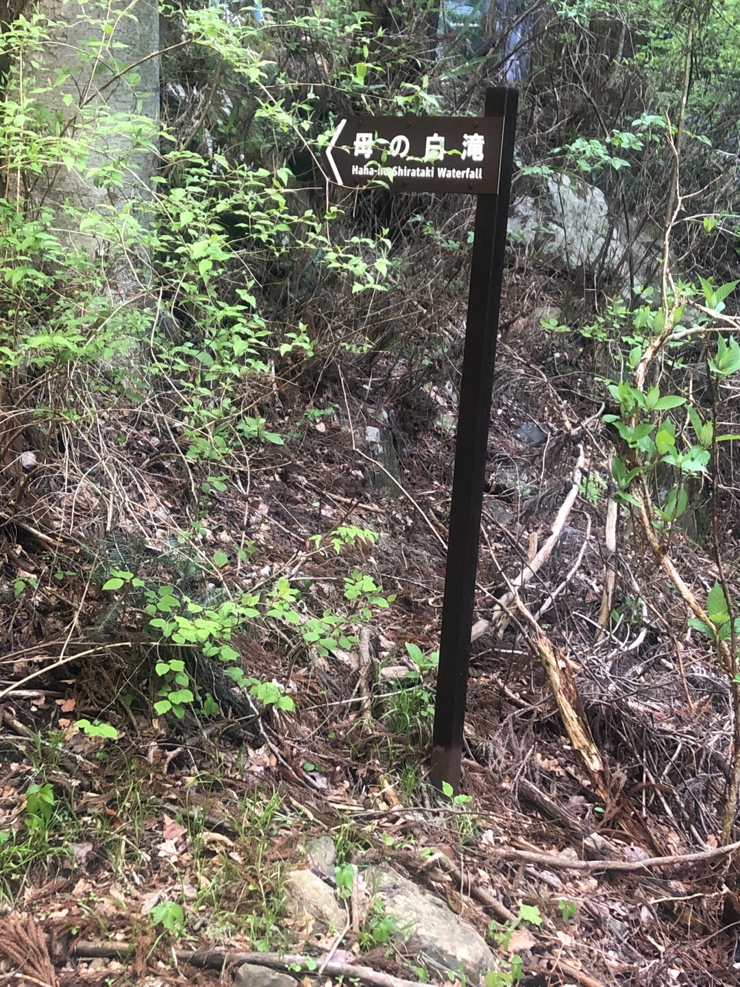 せいさんの投稿したフィールドメモ | YAMAP / ヤマップ