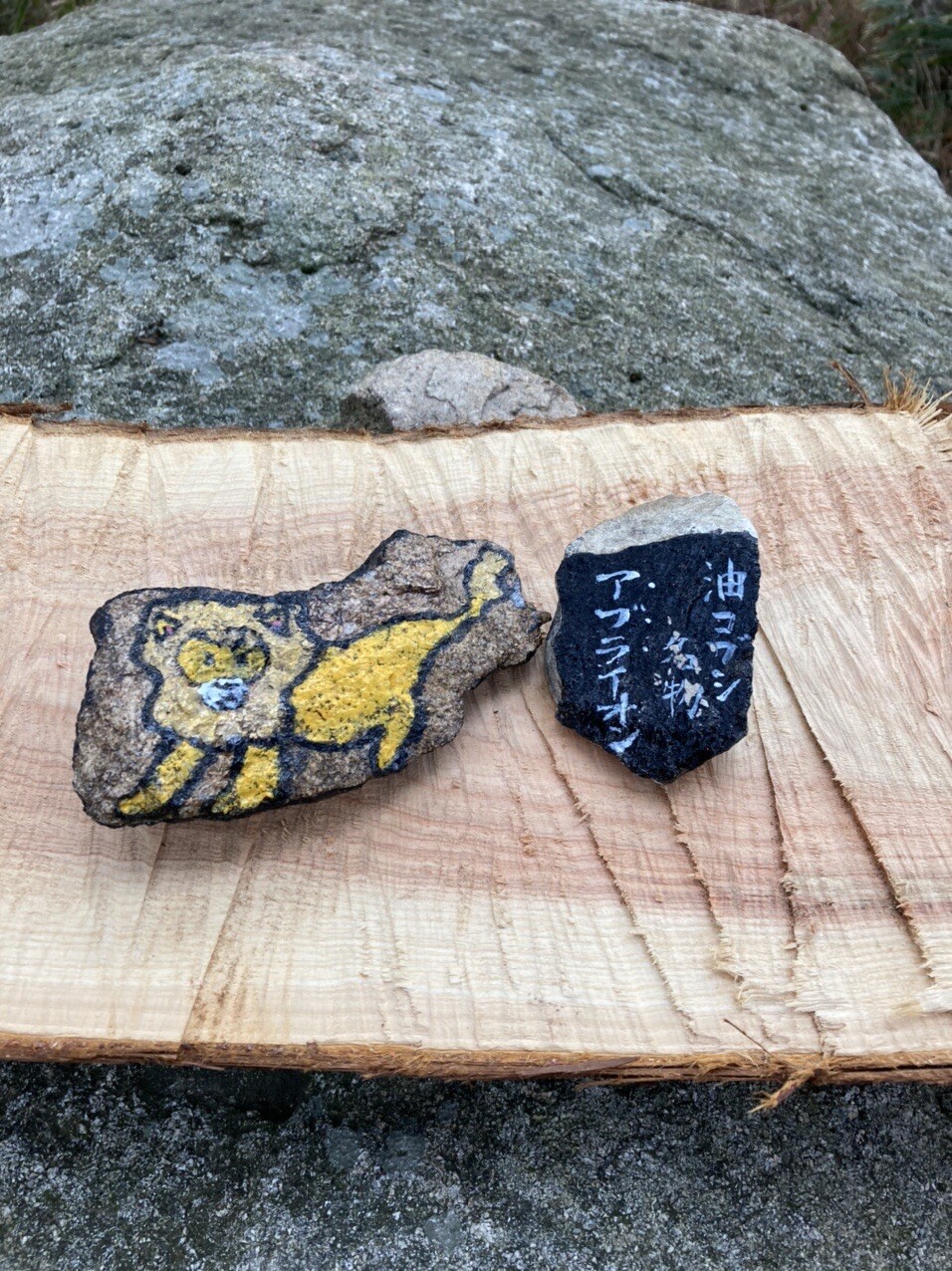 油コブシ / nm.sm.happyさんの六甲山・長峰山・摩耶山の活動データ | YAMAP / ヤマップ