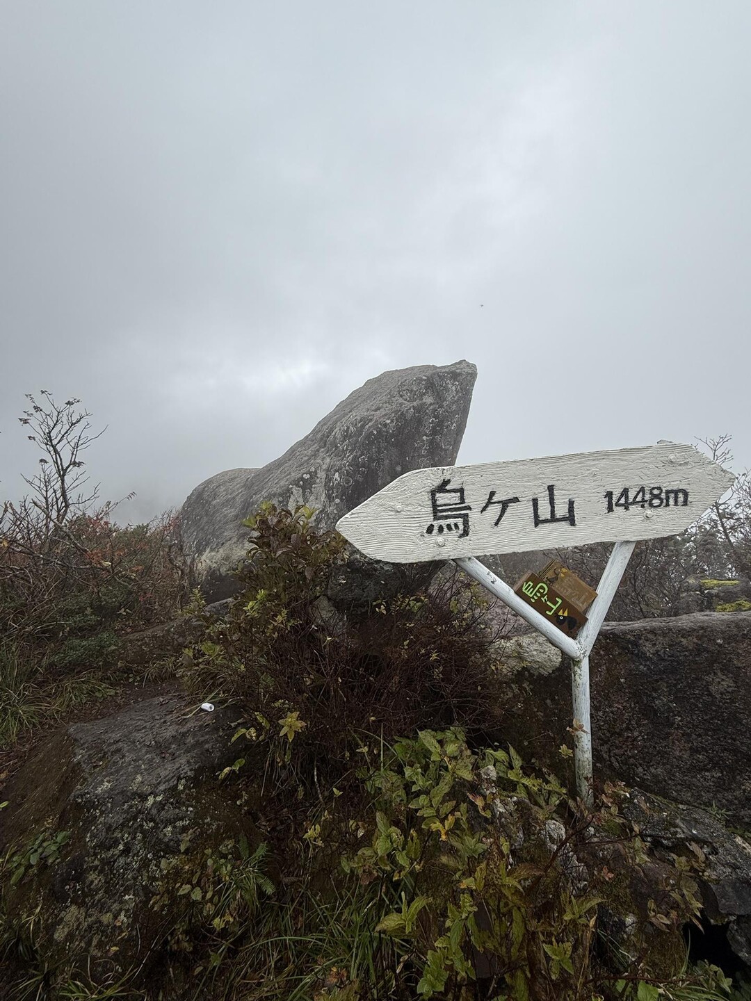 雨の烏🐦‍⬛と紅葉の森🍁烏ヶ山 / nyaomaskさんの大山・甲ヶ山・野田ヶ山の活動データ | YAMAP / ヤマップ
