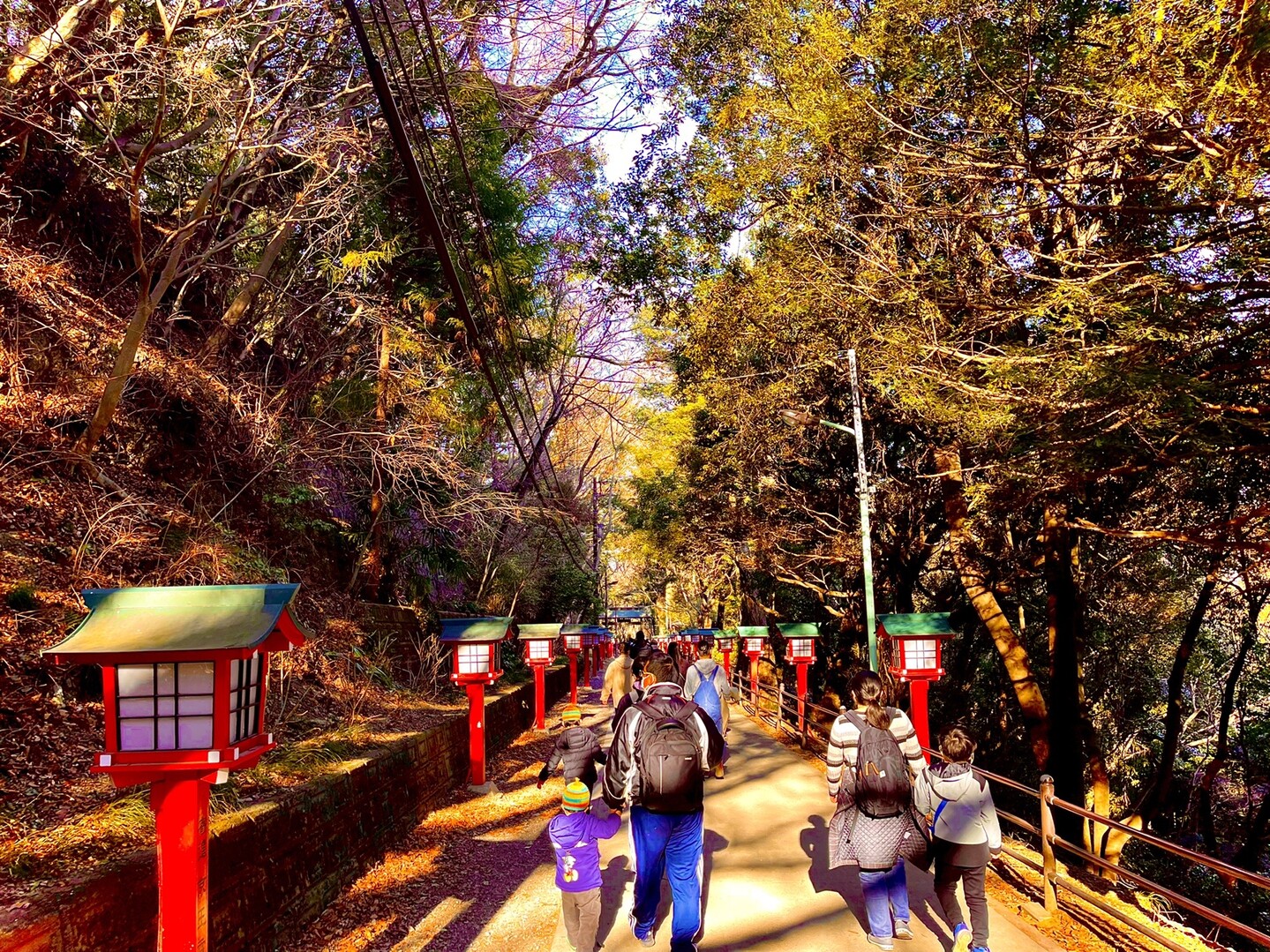 前回の高尾山 家族で普通に出かけられる ... / HIRO88さんのモーメント | YAMAP / ヤマップ