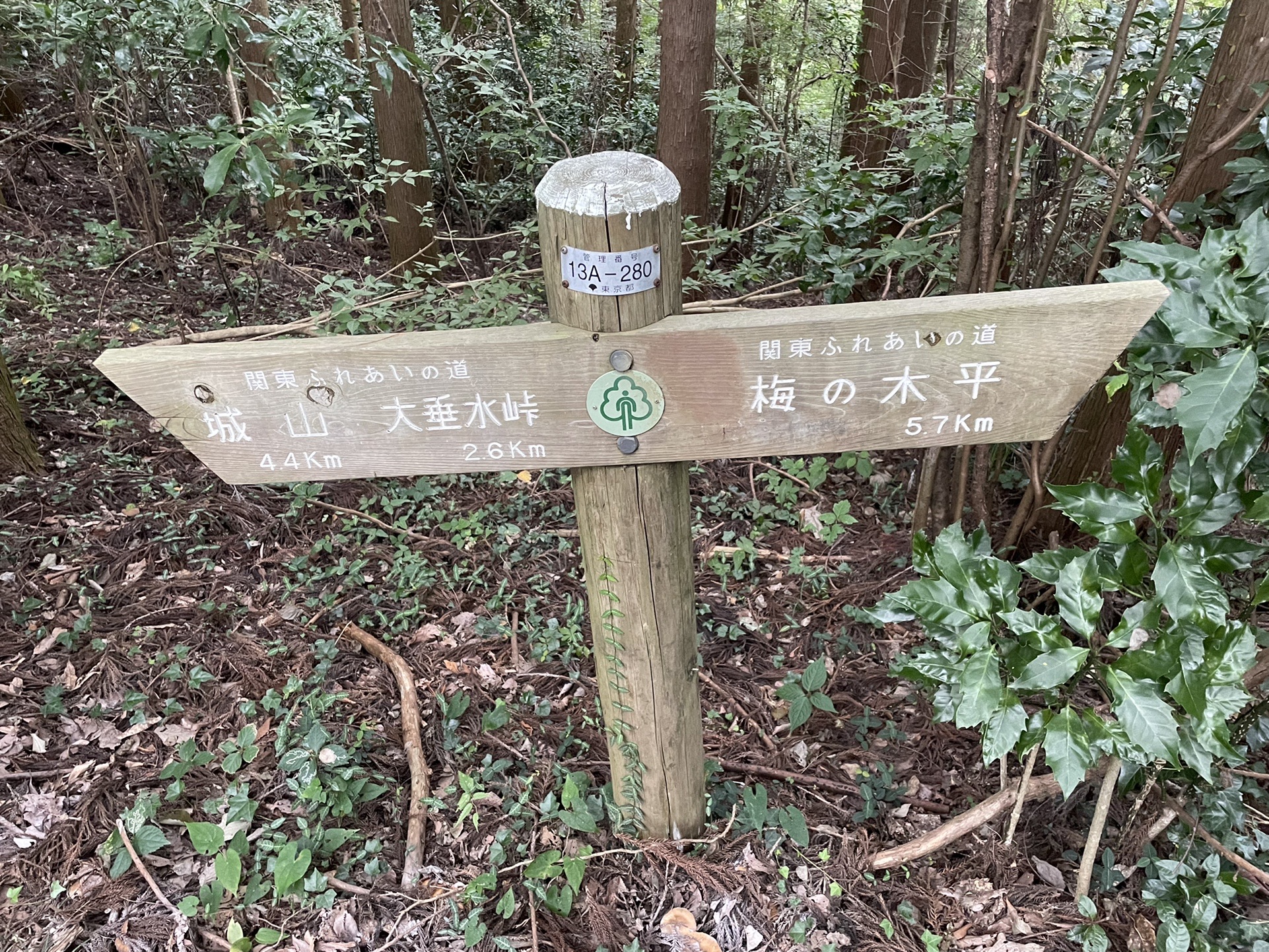 tsk-chaponさんの投稿したフィールドメモ | YAMAP / ヤマップ