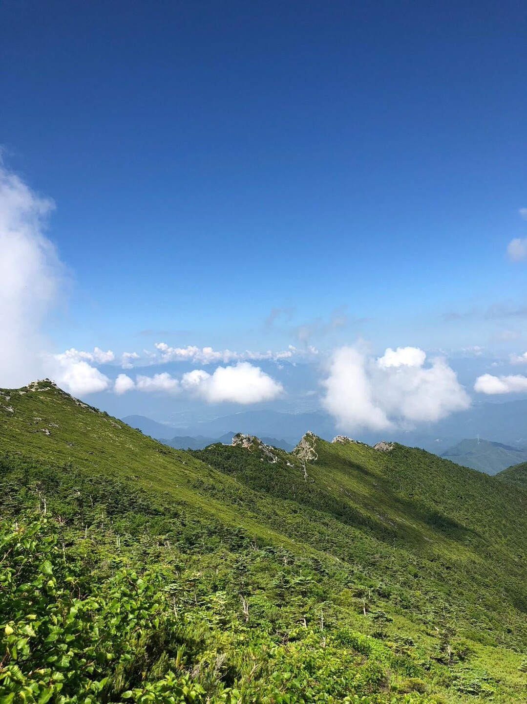 ☀☔⚡金峰山 / m@riさんの瑞牆山・金峰山の活動データ | YAMAP / ヤマップ
