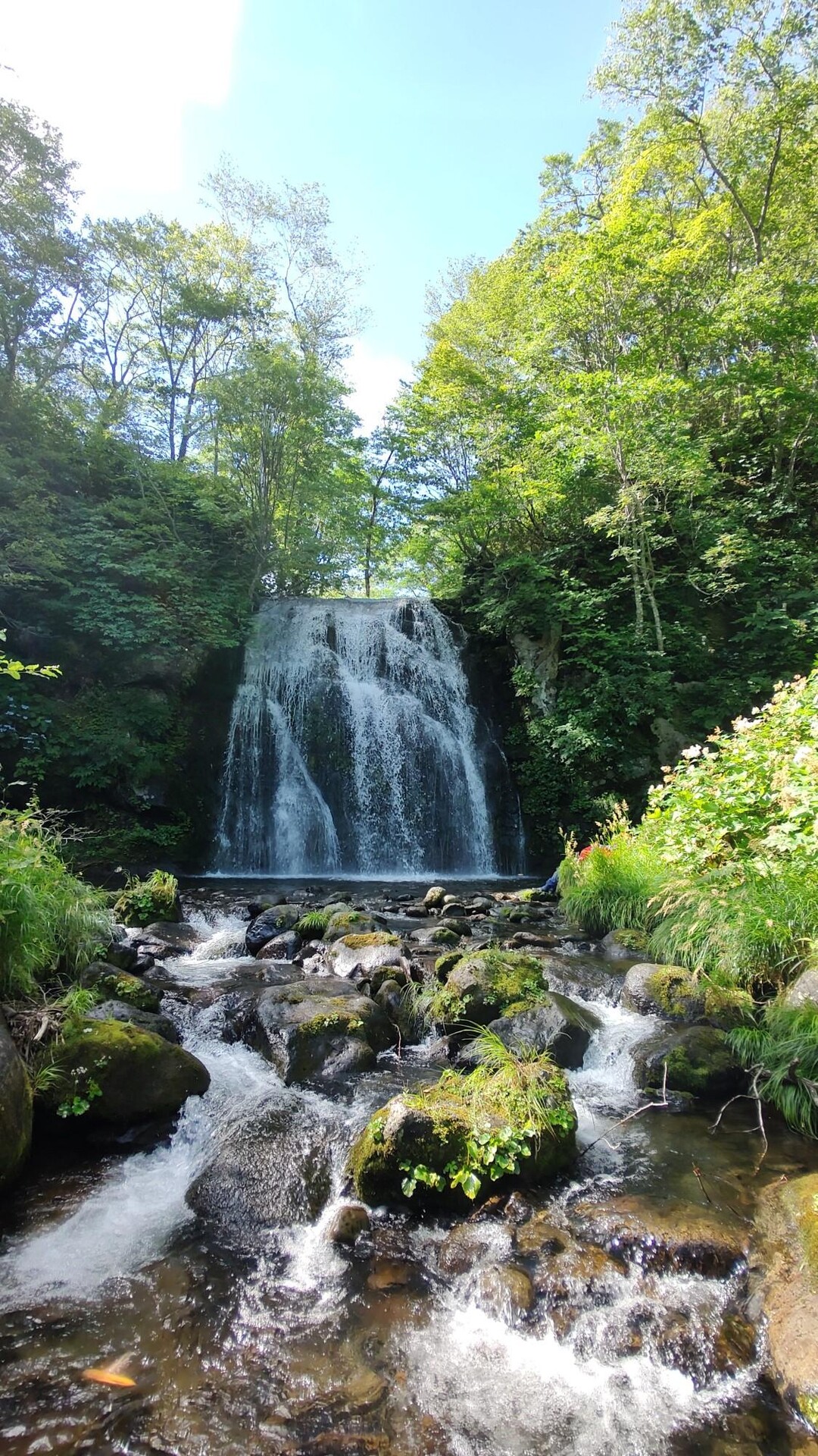 伊佐内川四段滝At / K2.Rさんの積丹半島北部・積丹岳の活動データ | YAMAP / ヤマップ